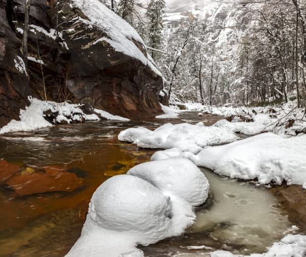 ~wintry mix~ by Danilo Faria | 500px