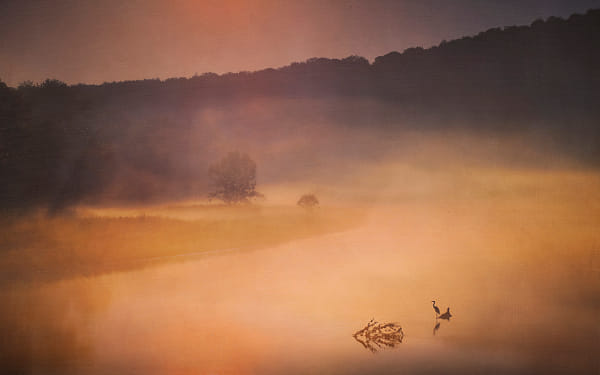 Foggy Morning_Arkansas by Randy Wayman | 500px