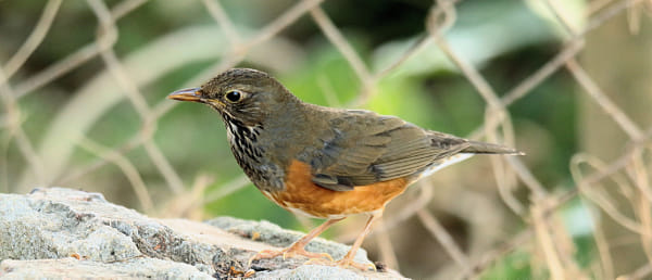 Connect by khoi tran | 500px