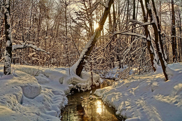 Sunny winter day by Victor Prokhorov | 500px