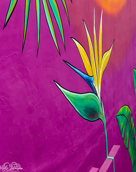 Murals of Curacao by MacLir Adventures | 500px