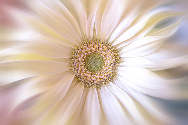 Beginning of 2025 by Yong Ki Park | 500px