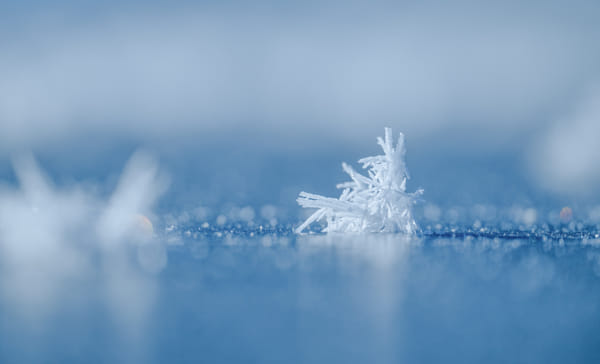 ice crystal by Stefan Thaler | 500px