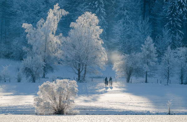 Winter Scenery by Stefan Thaler | 500px
