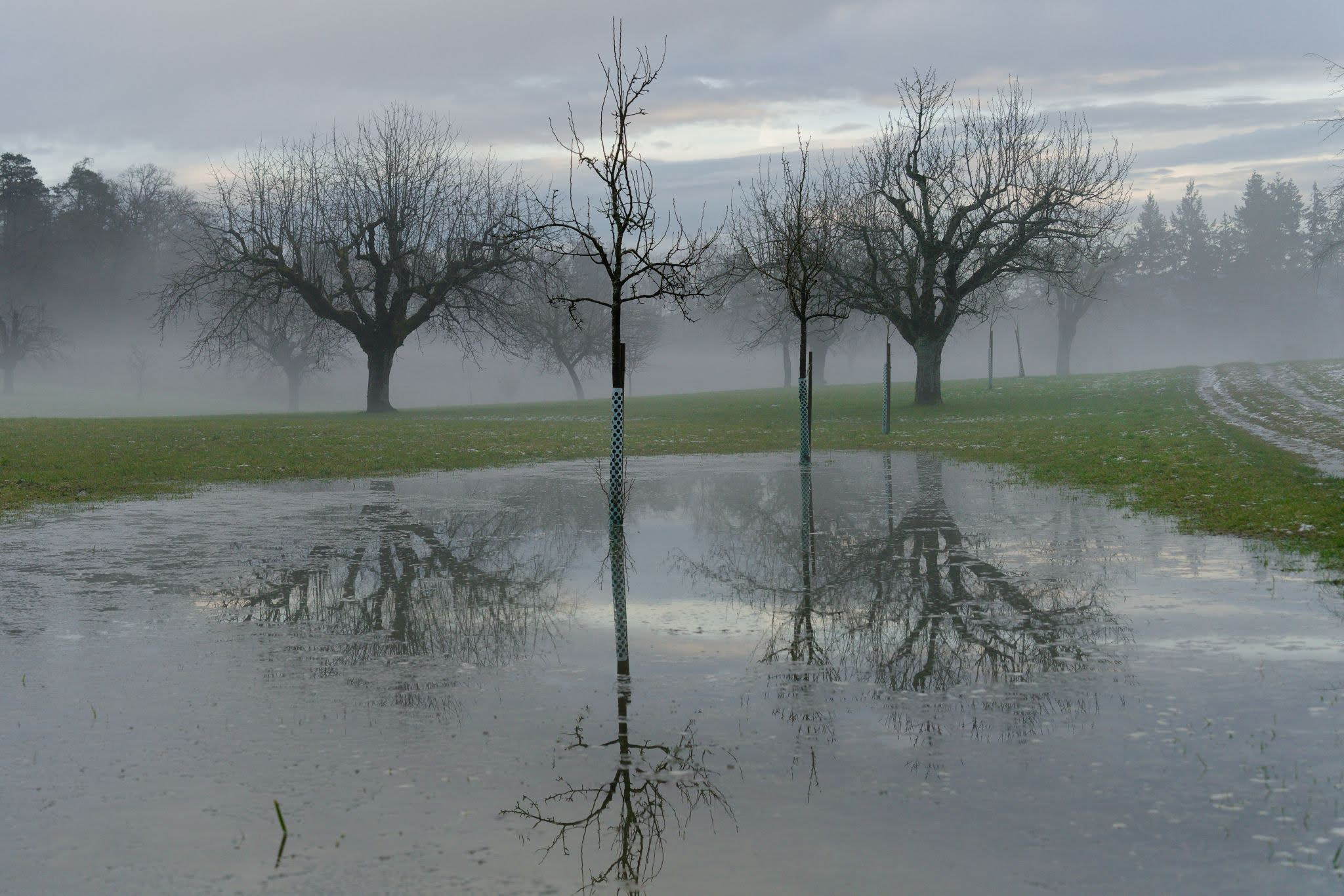 Too Much Rain By Hansjuerg Buehler 500px