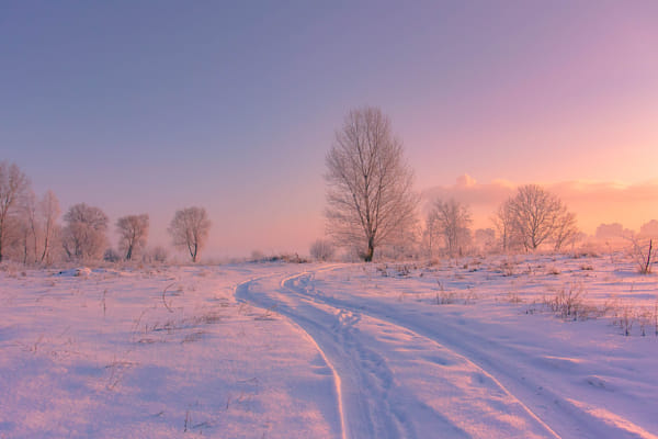 Norah by Suzy Mead | 500px