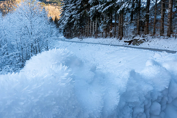 Norah by Suzy Mead | 500px