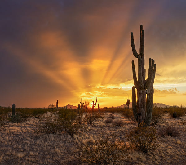 ~If God Will Send His Angels~ by Danilo Faria | 500px