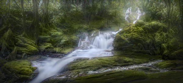 Rainforest River Flow by Luis Lyons | 500px