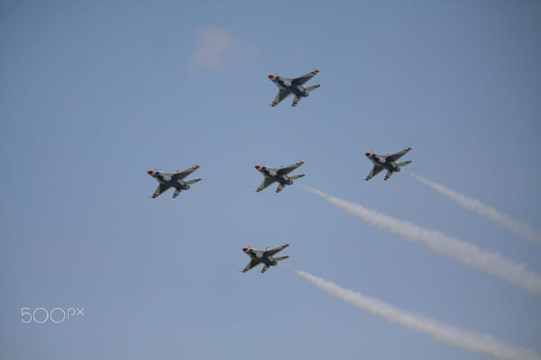 Fighting Five by Gavin Watson | 500px