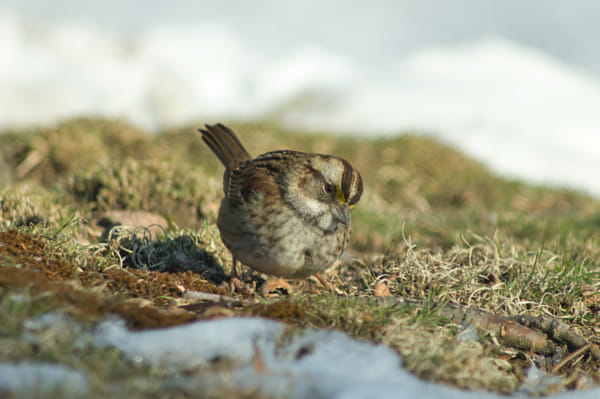 DSC06575 by David | 500px