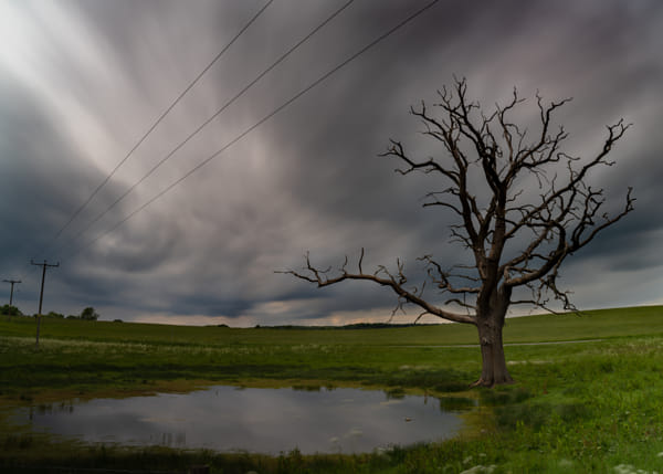 lone tree by Metalhead With A Camera | 500px