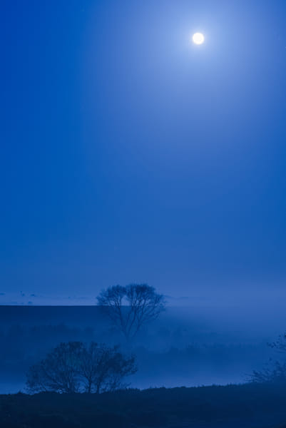 The moon is calling by 寺井 健紀 | 500px