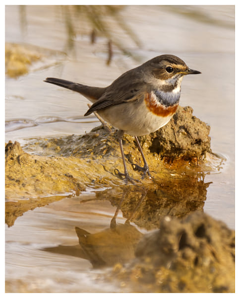 Reflection. by Terry and Jan Farrow | 500px