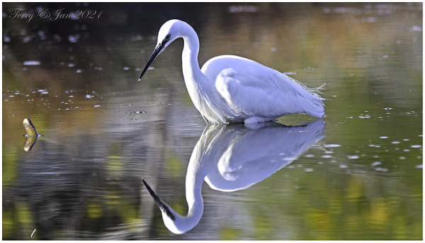 Reflection by Terry and Jan Farrow | 500px