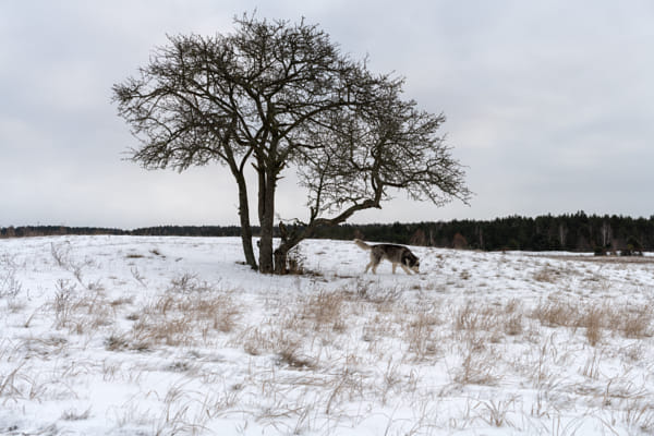 by Andrei Bulatov | 500px