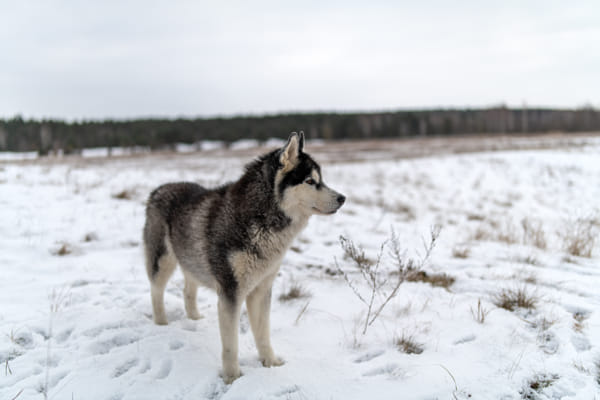 by Andrei Bulatov | 500px