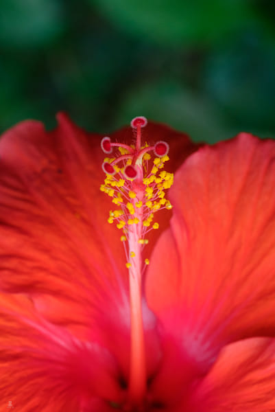 Deep by Alaa Su | 500px