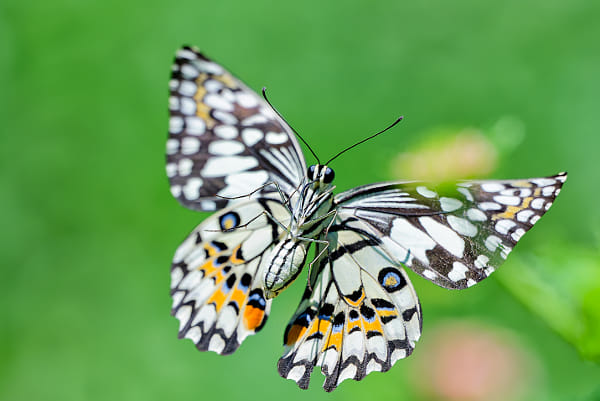 Journey by suzy mead | 500px