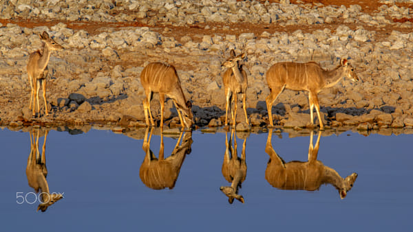 Winters Coming by Rick Dobson | 500px