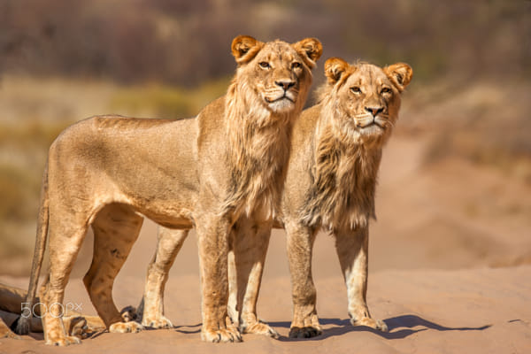 Winters Coming by Rick Dobson | 500px