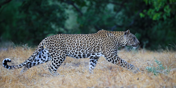 Winters Coming by Rick Dobson | 500px