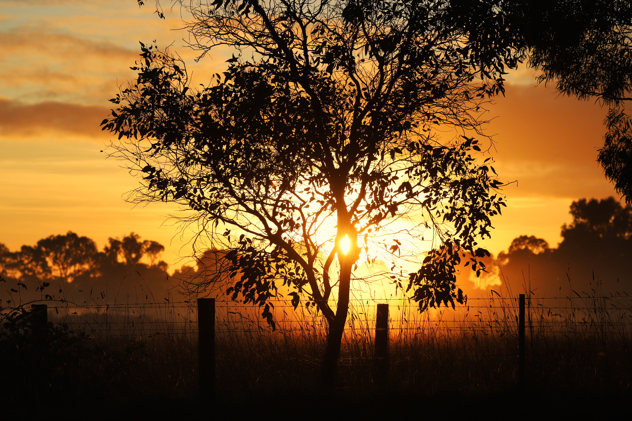 Morning Vision! by Bruce Prothero | 500px