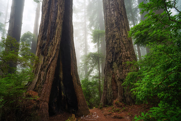 Carla by Nik Sargent | 500px