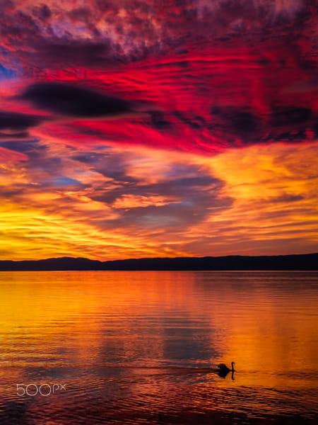 Pin up girls 2 by Marianna Anagnostopoulou | 500px
