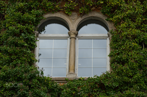Green Window by Konrad Locher | 500px