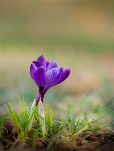 Connection.... by Hellen ten Bos | 500px
