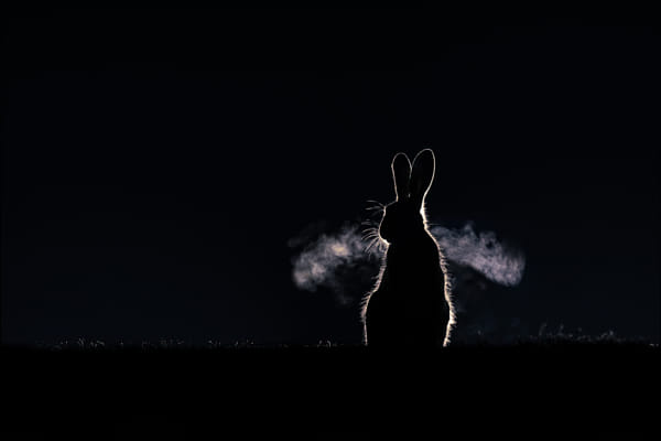 Chess players by Vadim Trunov | 500px