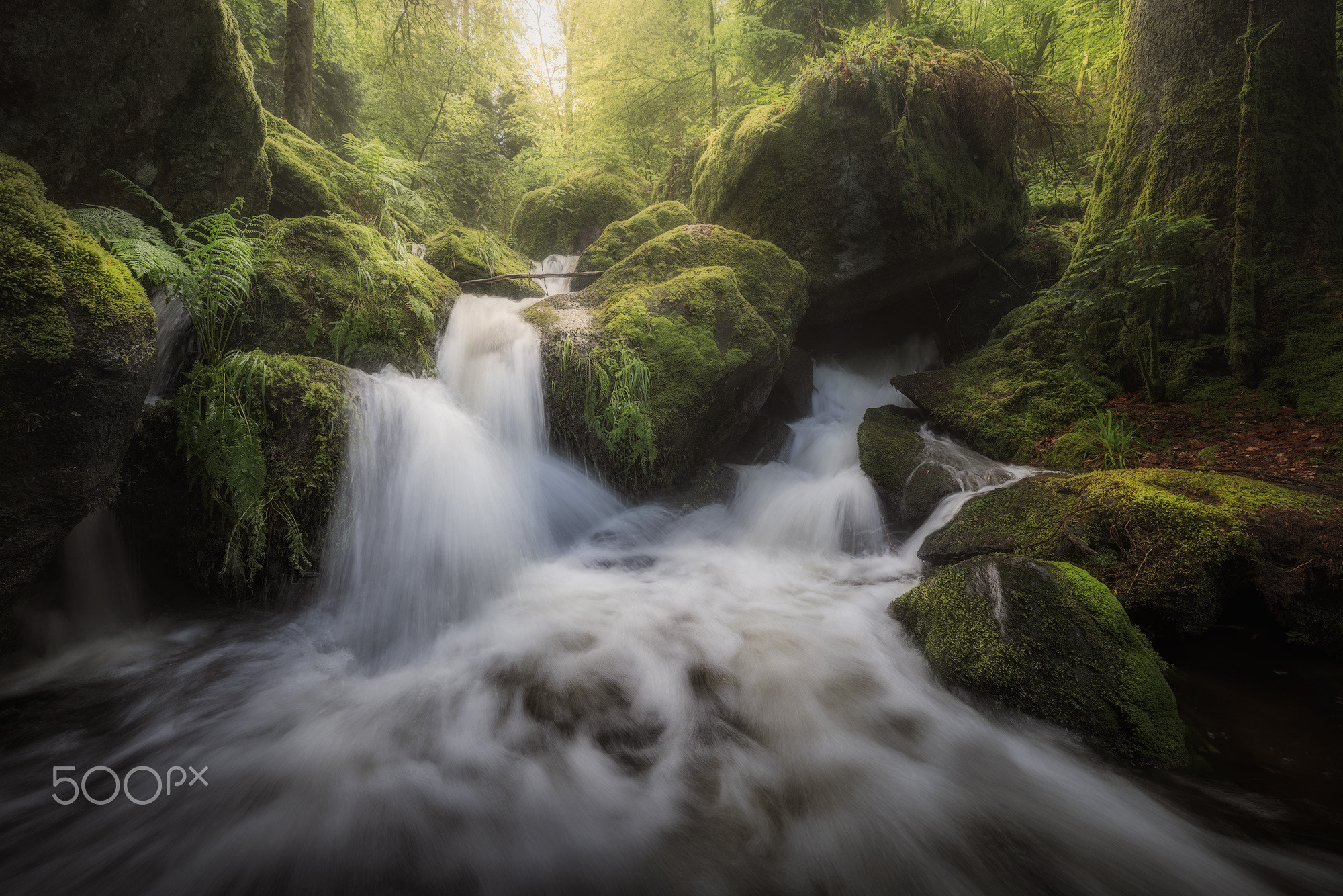 Bubbling Spring by Benjamin Höger | 500px