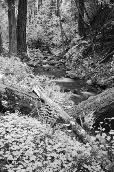 Fall Creek by Sam Reeves | 500px