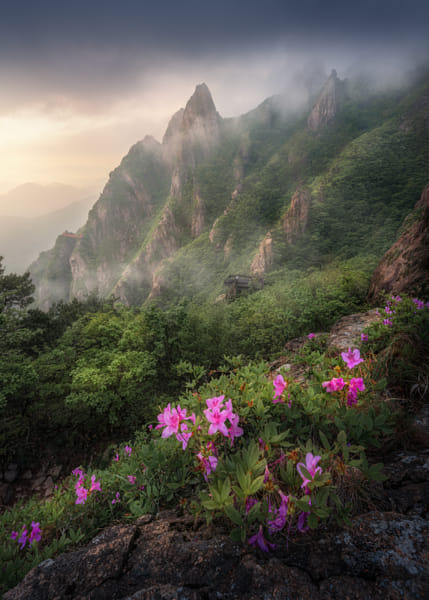 Vagabond by Ashlyn Mae Photography | 500px