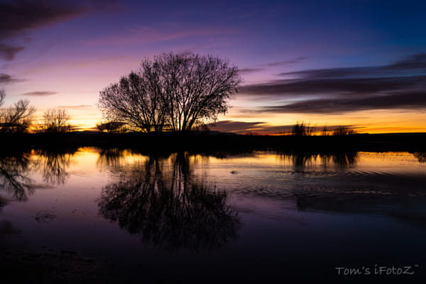 Vagabond by Ashlyn Mae Photography | 500px