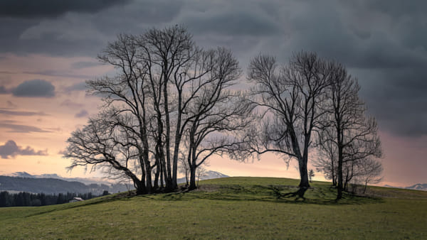 On a hill by Walter Wulff | 500px