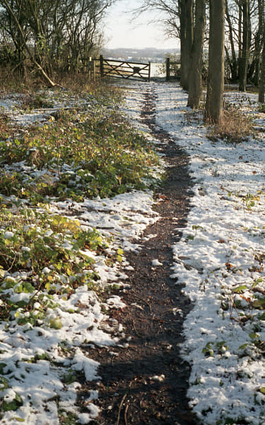 Stocking Pelham by Jay Ray | 500px
