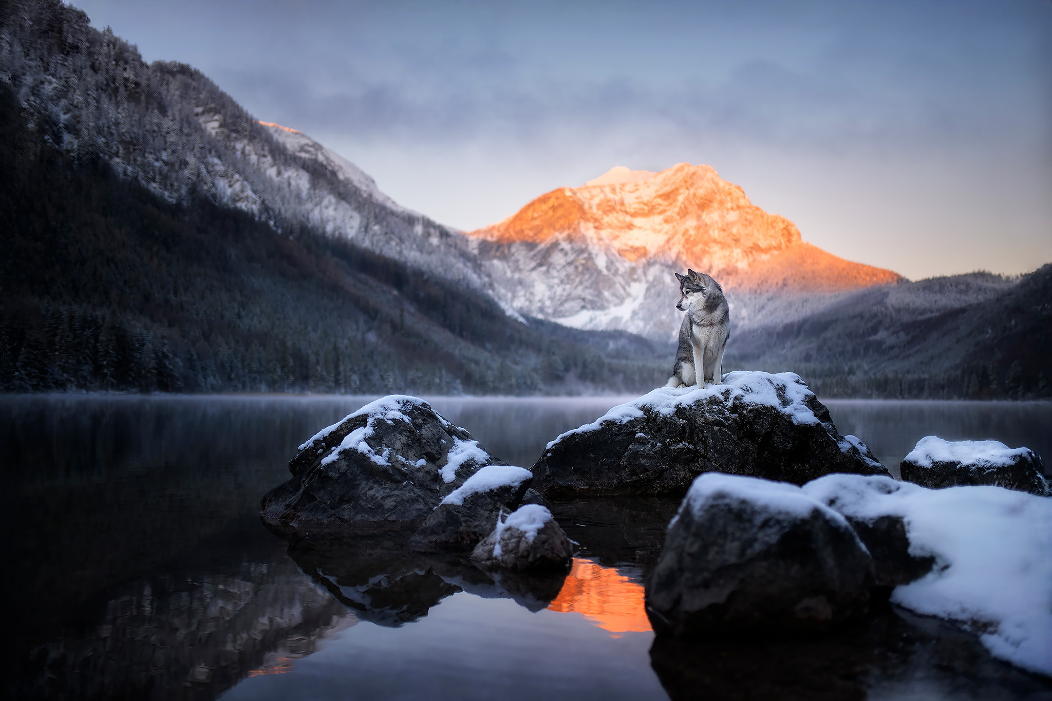 alpine glow. by Anne Geier | 500px