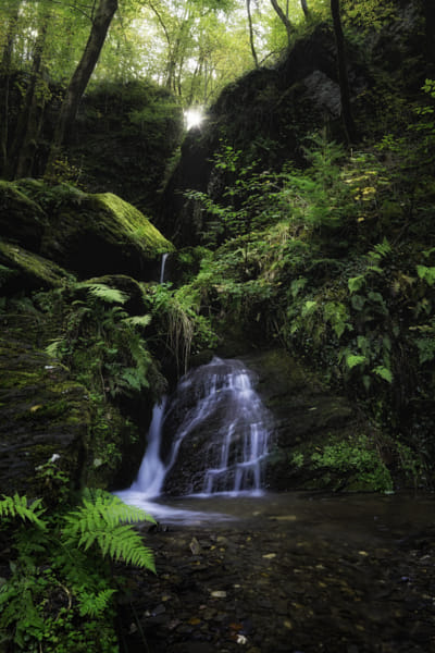 Deep in the forest by Christoph Neupert | 500px