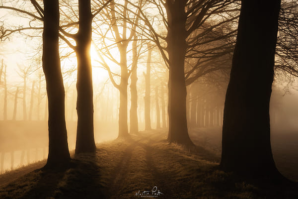 Franchere Peak by Scott Bennie | 500px