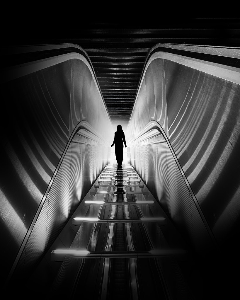 fallen angel ... by ines_maria | 500px