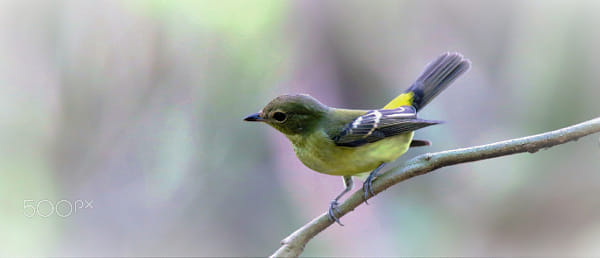 Floating beauty by LEE INHWAN | 500px