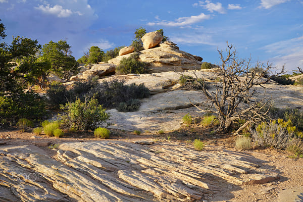 Western Wilderness by Josh Pine - Faces & Places | 500px