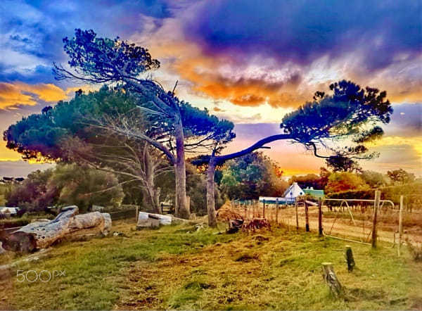 IMG_6594. Dramatic sky. by Terry Wells | 500px