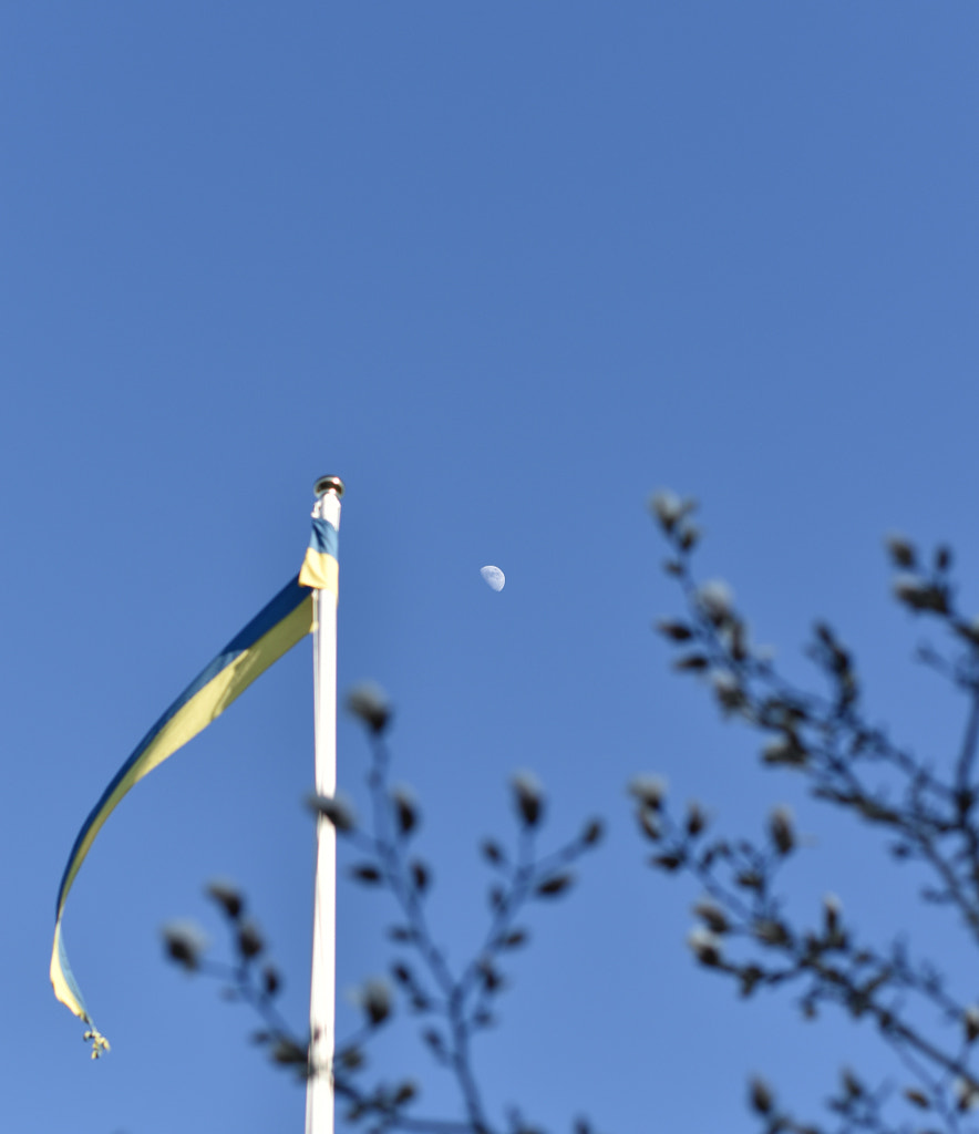 Swedish Flag and Crescent Moon Under Clear Blue Sky by Hani Haj Hamdo ...