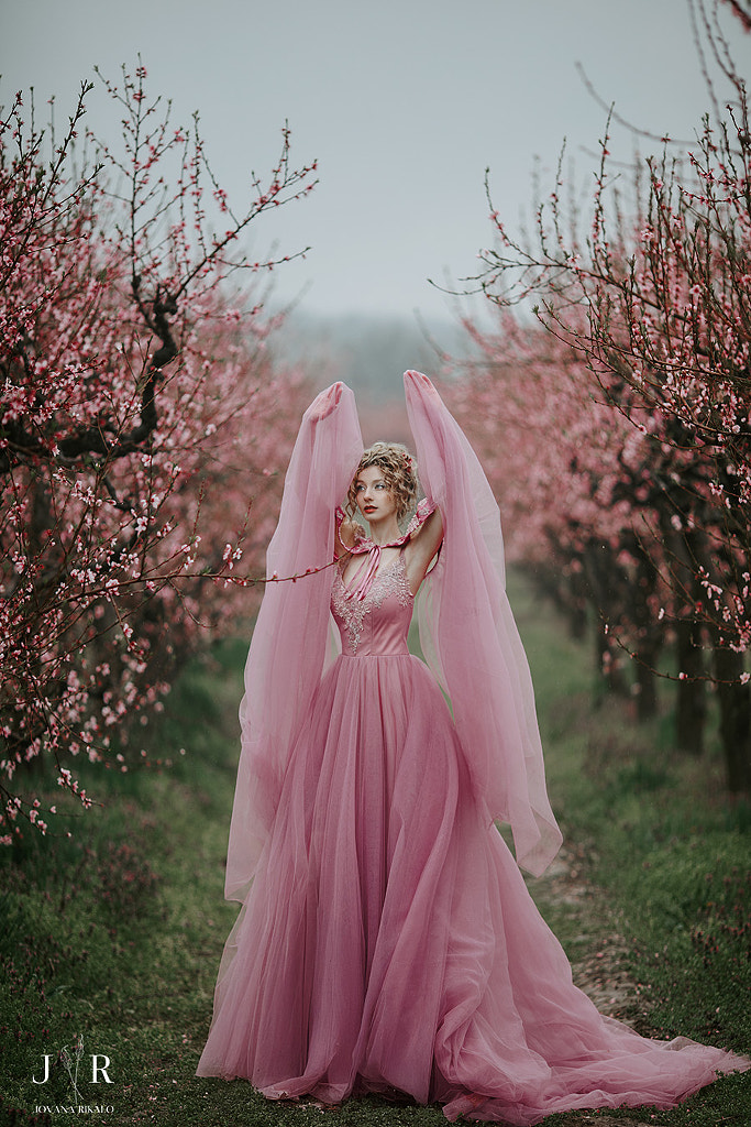 Pink Bloom by Jovana Rikalo | 500px