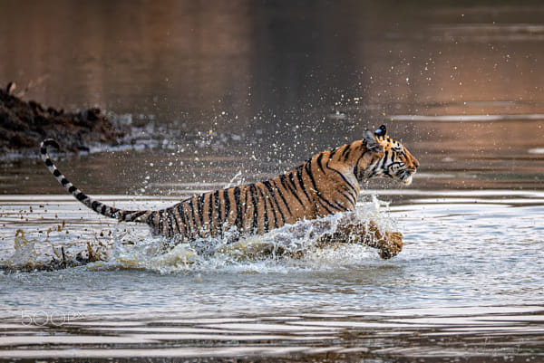 Against The Curves by Reza Nazemi | 500px