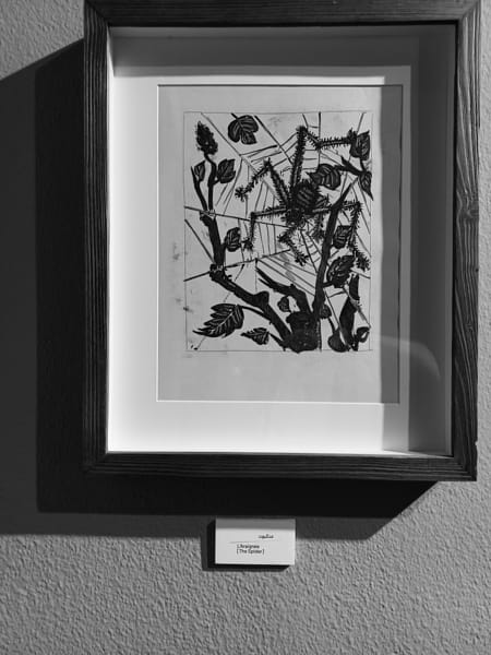 "The spider" by Pablo Picasso for a book by mehran zehtab | 500px