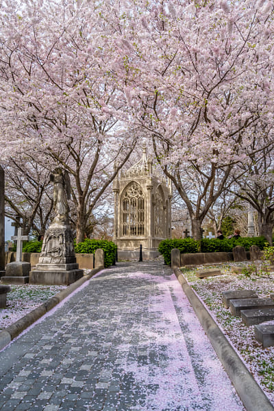 Monroe Tomb in Spring by Robert Pfeifer | 500px